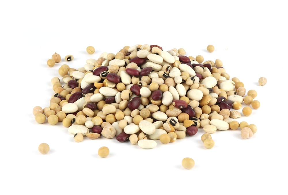 Bean Feast – The Whole Food Guys